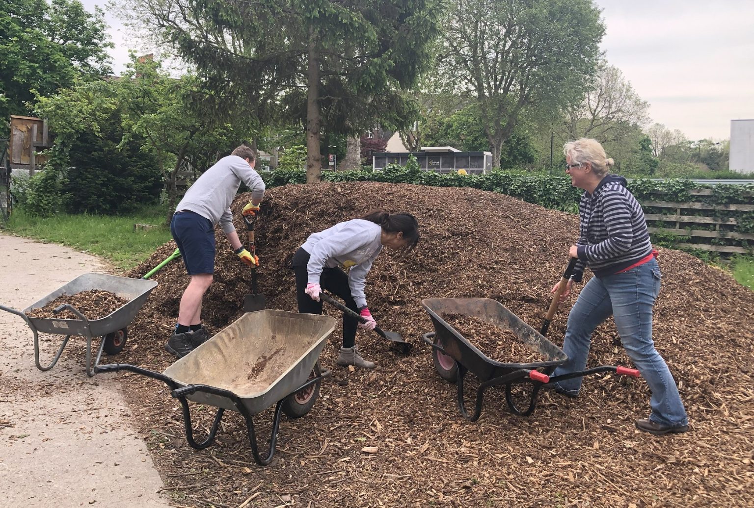 Wild Ranger Volunteer Days – Wild Rangers